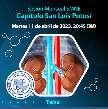 Declaraciones | SMNE